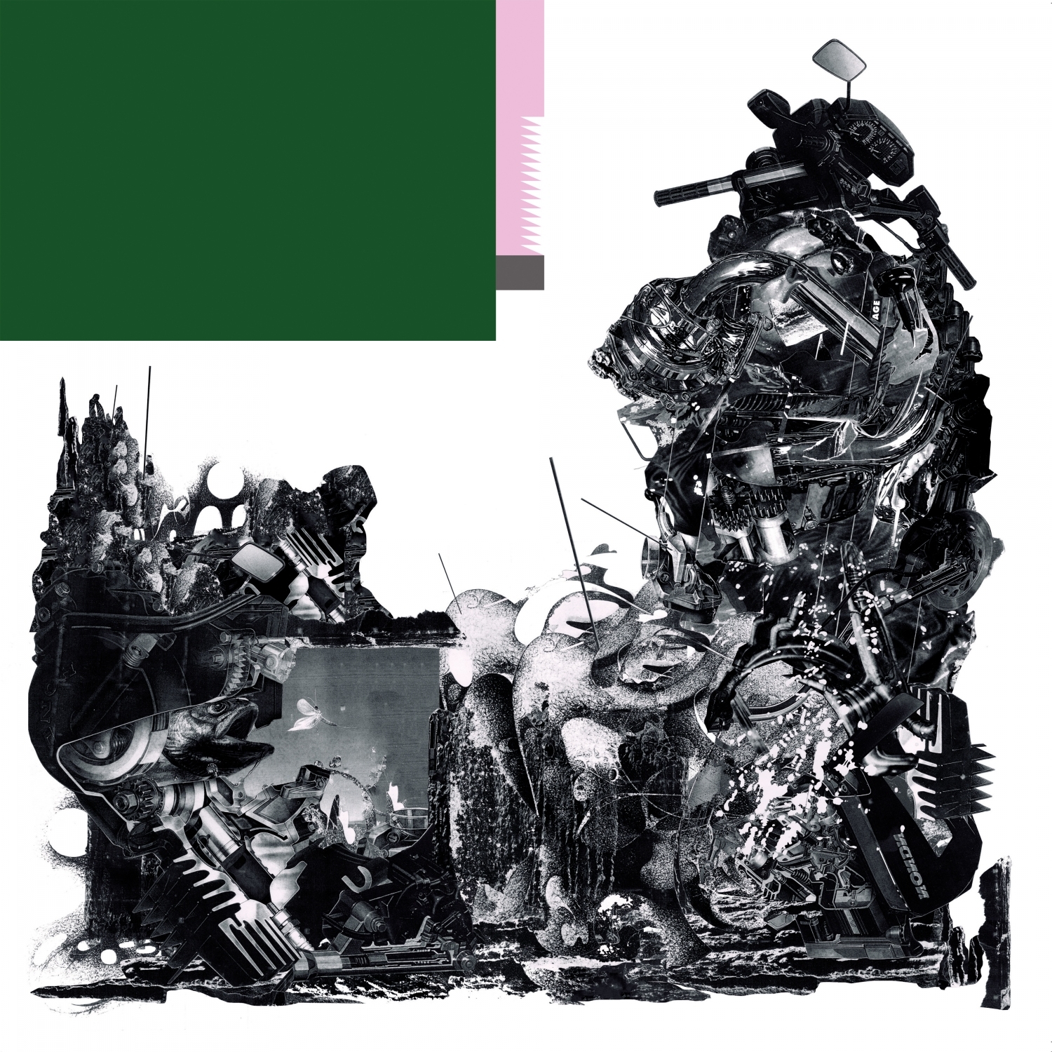 Black Midi: Schlagenheim - Undertoner